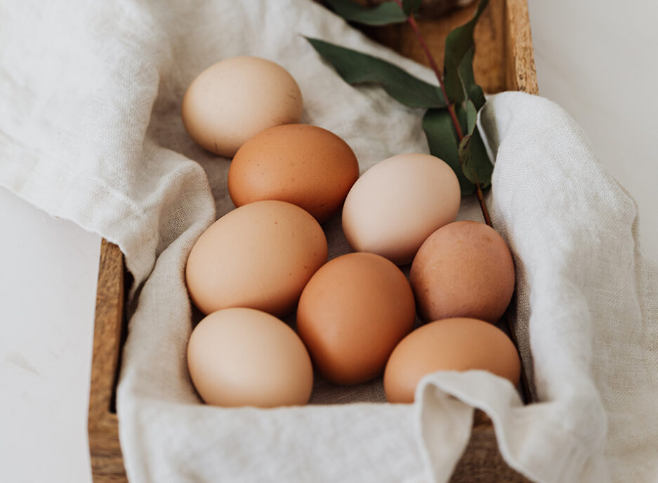 Home - Purely Poultry